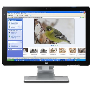 HP Monitors - Display quality issues | HP® Support