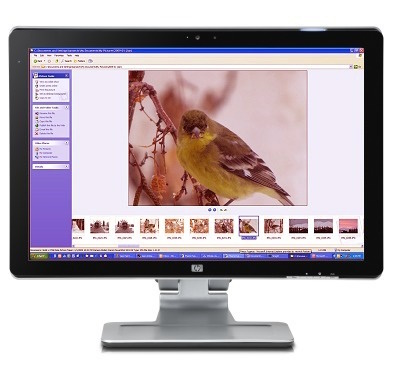 HP Monitors - Display quality issues | HP® Support