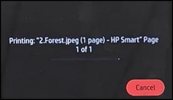 HP OfficeJet Pro 8100, 9100, 9700 Printers - Unable to print after ...