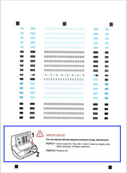 Esempio di pagina di allineamento con le istruzioni da seguire fino ...