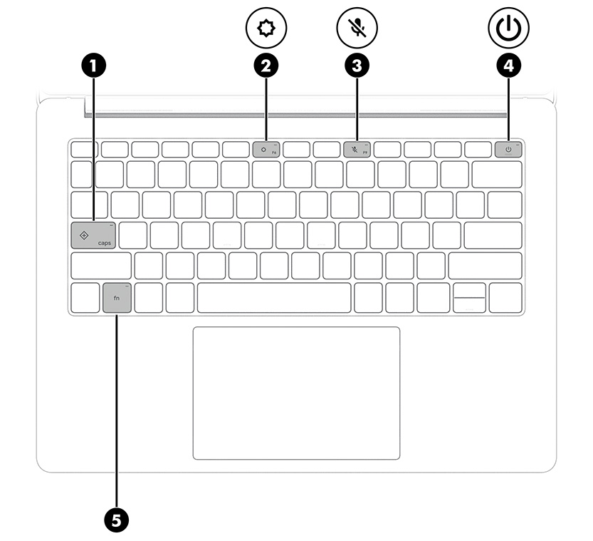 Components | Soporte HP®