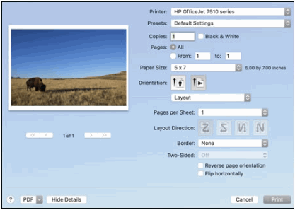 Print photos with an HP printer | HP® Customer Support