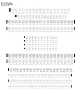 HP DeskJet 3700 printers - No black ink, wrong colors, other print ...