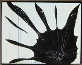 HP PCs and Monitors - Damaged screen, LCD, or display | HP® Customer ...