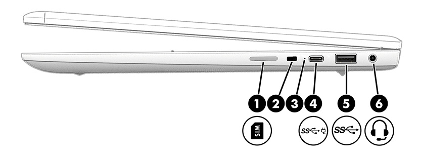 HP Notebooks – Konfigurieren des HP Stifts mithilfe der Software HP Pen Control (Windows 11, 10 ...