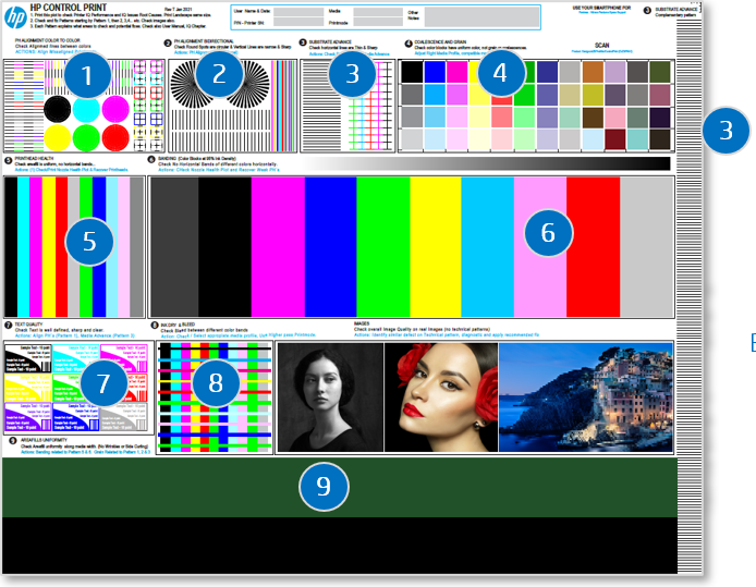 HP Control Print | HP® Customer Support