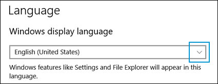 HP PCs - Wireless keyboard troubleshooting | HP® Support