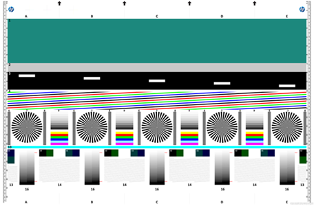 Scanning and copying | HP® Customer Support