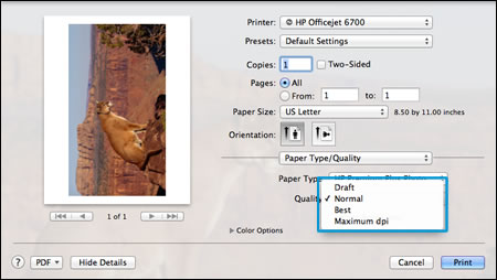 HP printers - Slow printing | HP® Customer Support