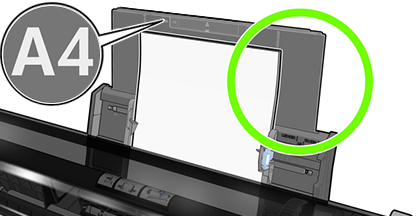 Paper cannot be loaded successfully | HP® Support