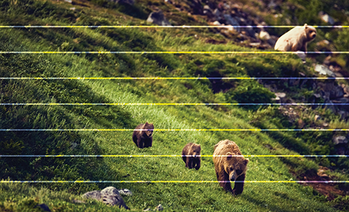 Troubleshooting print-quality issues | HP® Customer Support