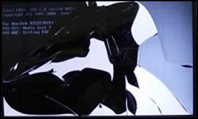 HP PCs and Monitors - Damaged screen, LCD, or display | HP® Support