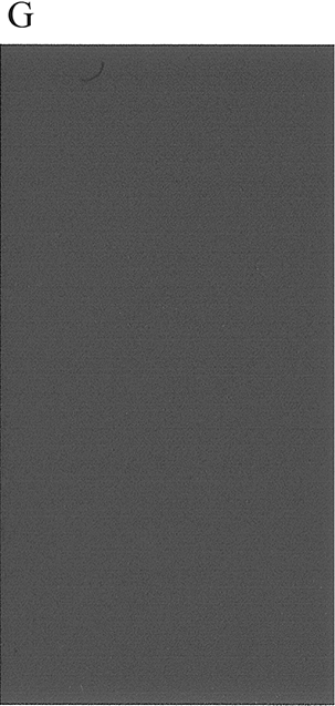 Alignment Failure - HP DesignJet XL3600 | HP® Support