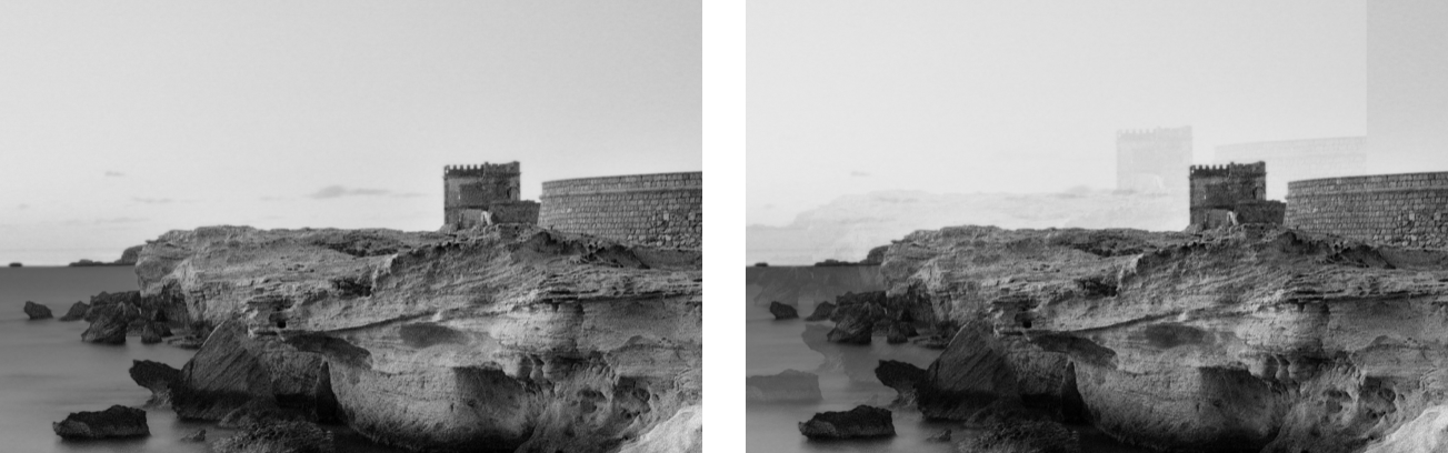 Scan Quality | HP® Customer Support