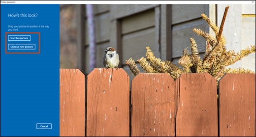 HP PCs - Set up sign-in options for Windows Hello (Windows) | HP ...