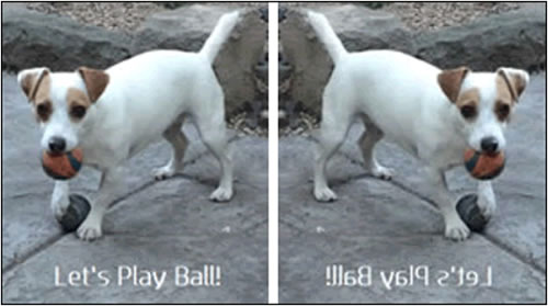 HP printers - Printing HP Iron-On Transfers (mirror images) | HP® Support