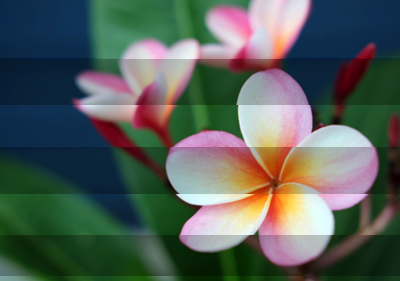 Troubleshooting print-quality issues - HP DesignJet XL 3800 ...