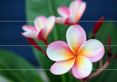 Troubleshooting print-quality issues - HP DesignJet XL 3800 ...