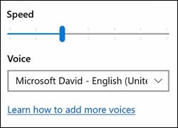 HP PCs - Accessibility options (Windows 10) | HP® Support